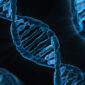 DNA Skin Test London Marylebone - b.e.a Skin Clinic