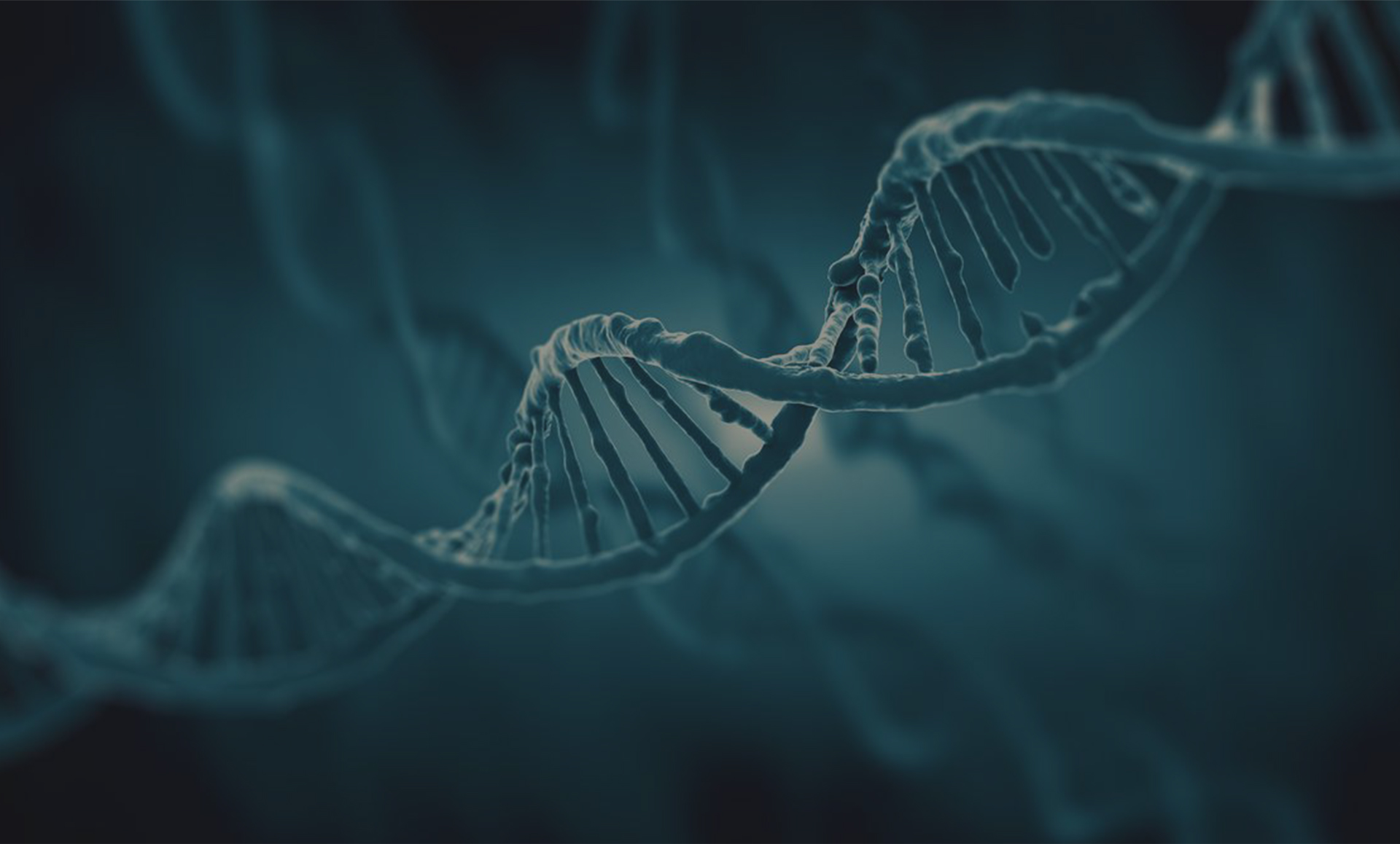 DNA Skin Test London Marylebone - b.e.a Skin Clinic